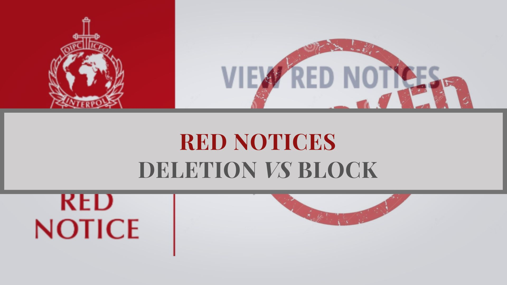 INTERPOL Red Notice: Deletion or Blocking? | What's the Difference?