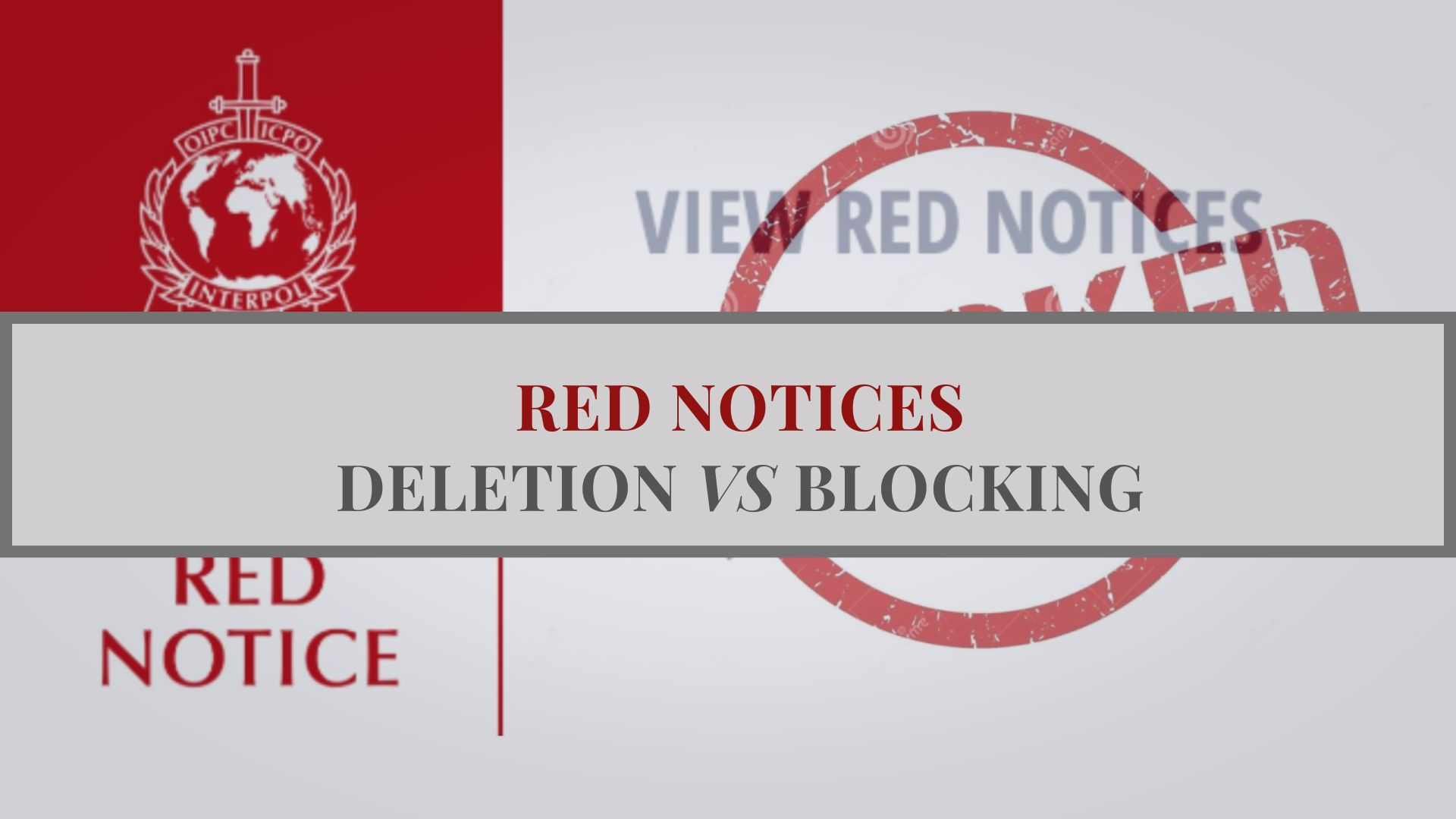 INTERPOL Blue Notices: How Do They Differ from Red Ones?